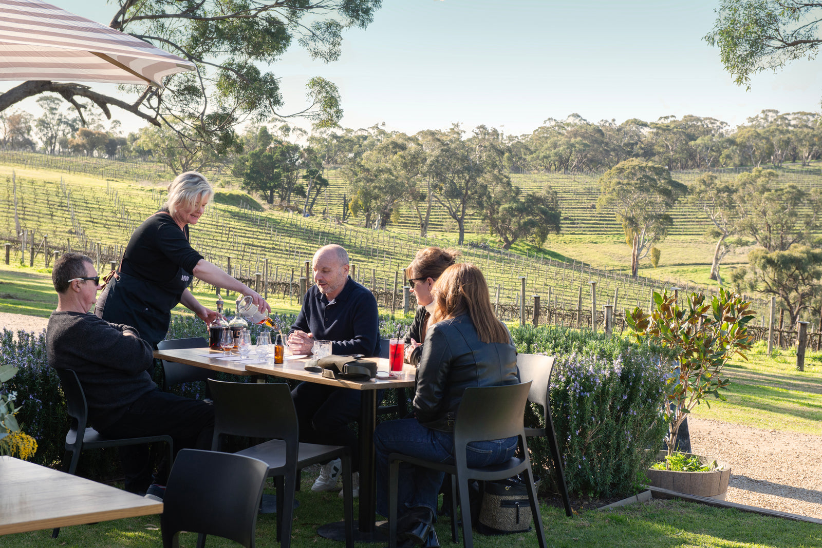 The McLaren Vale Distillery