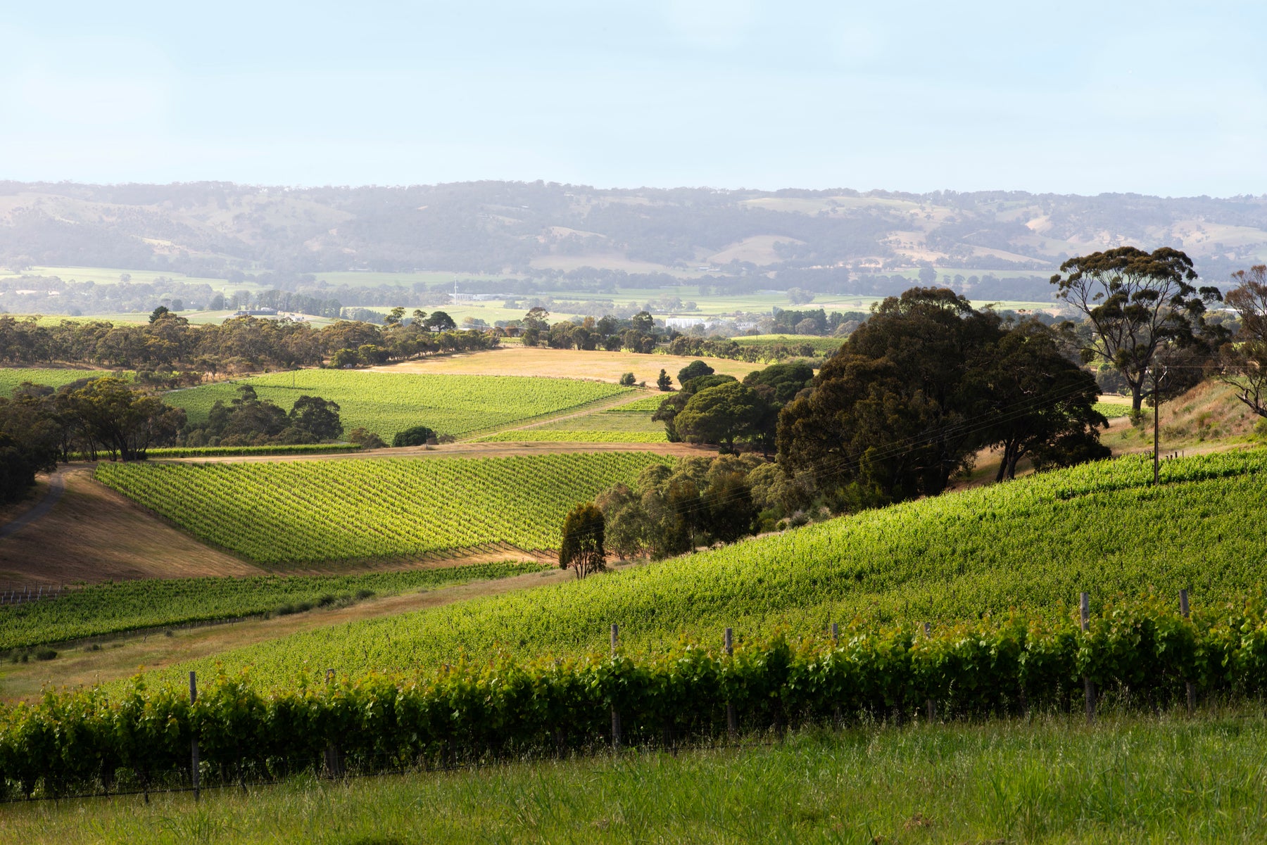 The McLaren Vale Distillery